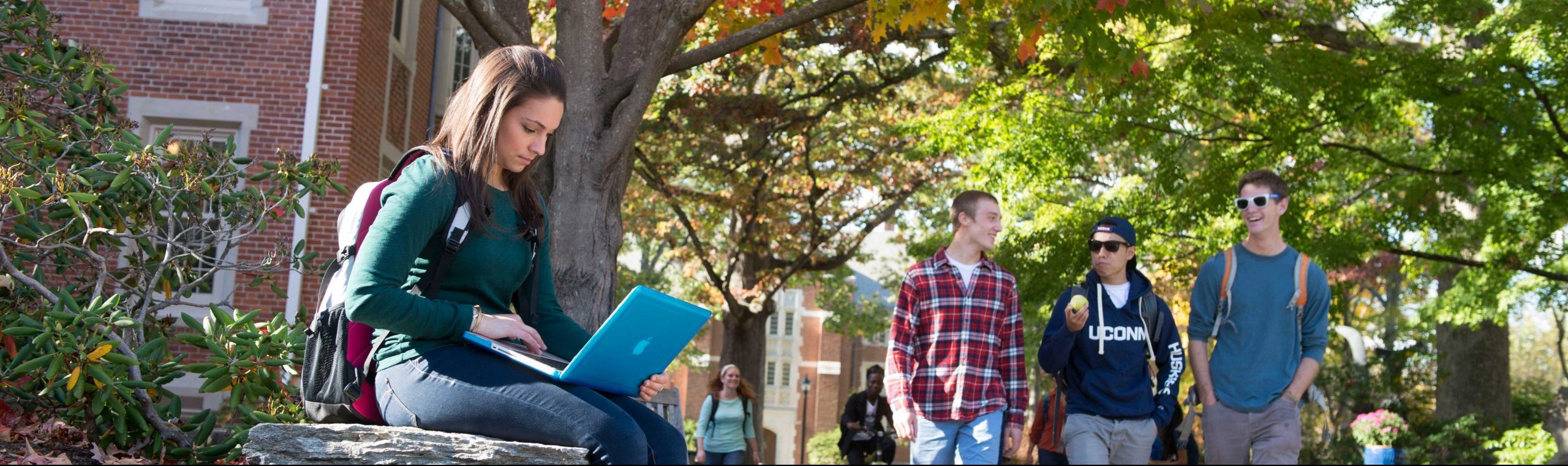 Home | Information Technology Services